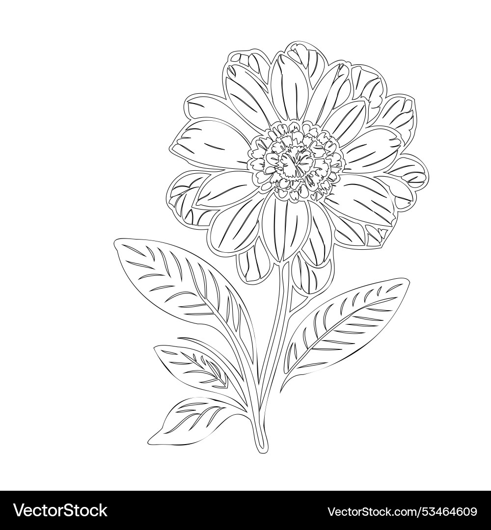 Sunflower outline sketch Royalty Free Vector Image