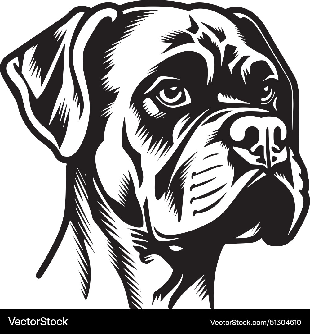 Boxer - minimalist and flat logo Royalty Free Vector Image