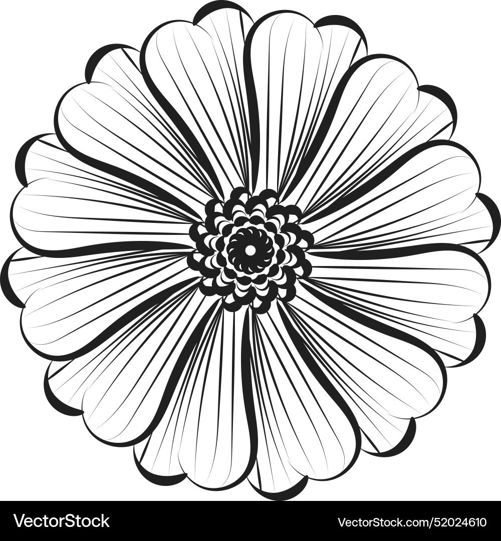 Flower line art for coloring pages Royalty Free Vector Image