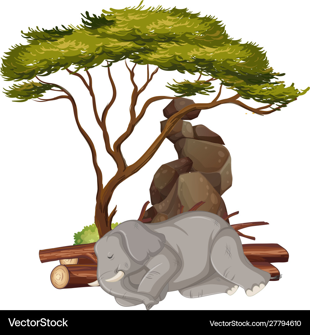 Isolated picture elephant sleeping Royalty Free Vector Image