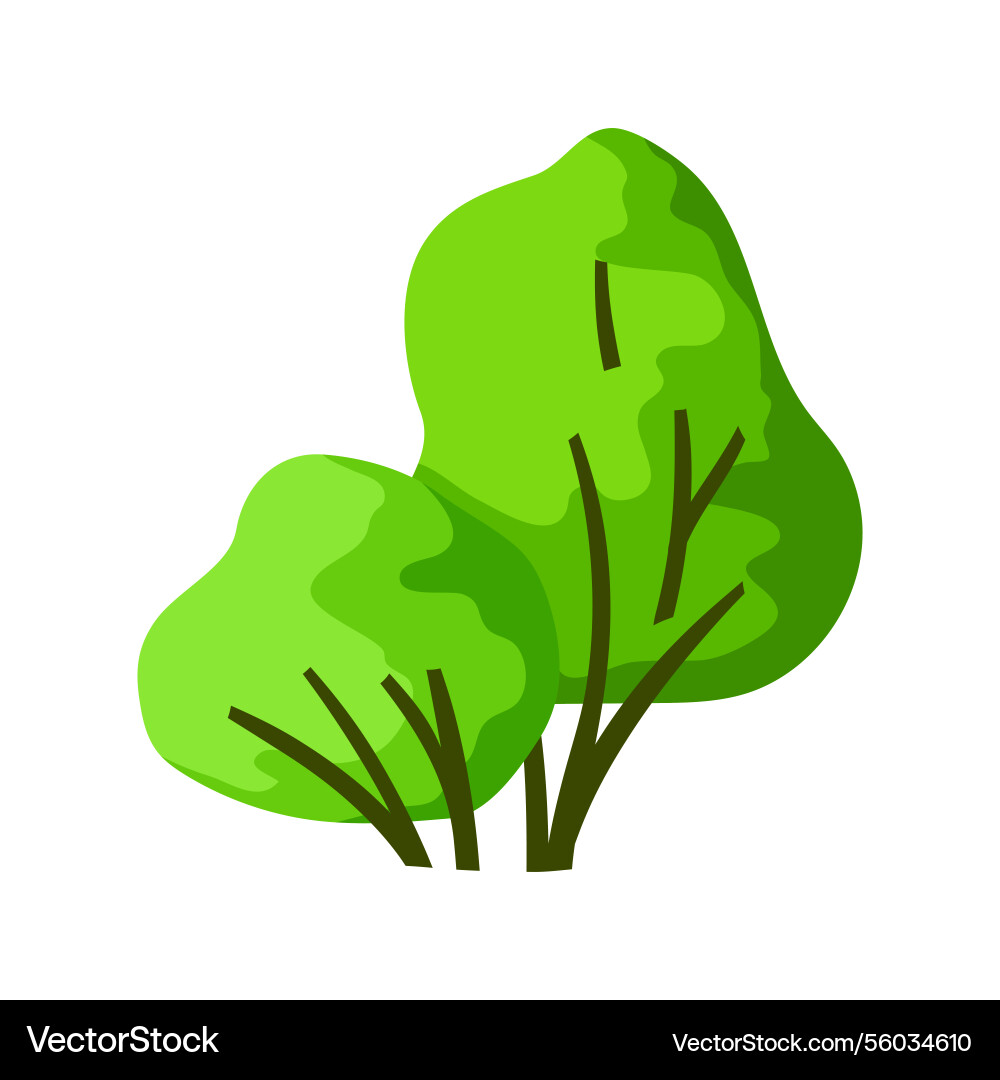 Stylized bush with leaves natural summer Vector Image