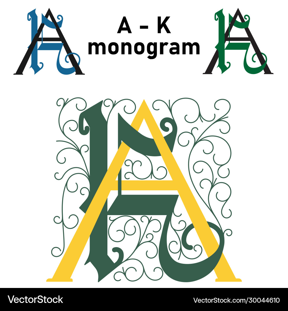 Two intertwined letters with curls a monogram Vector Image