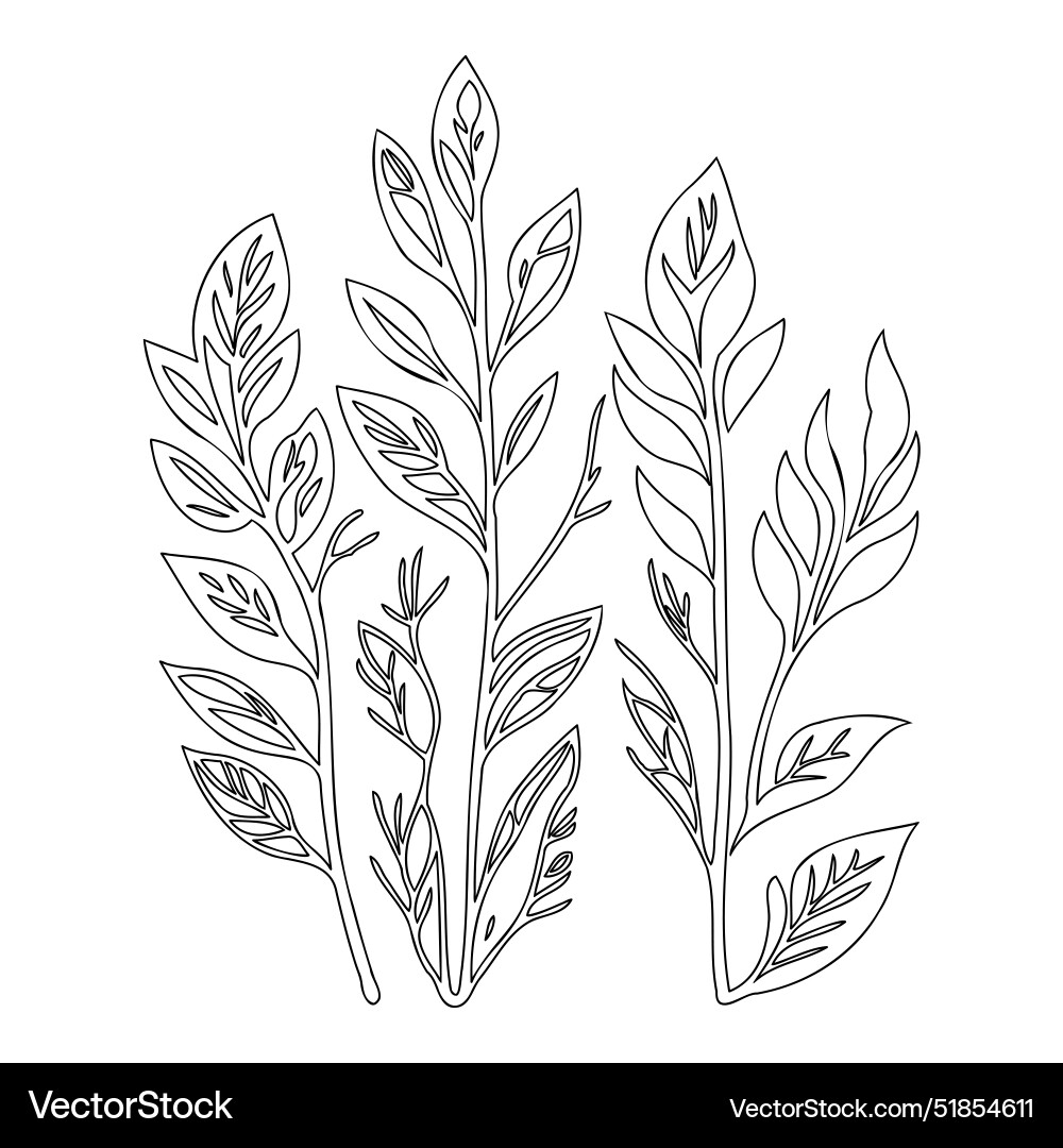 Parallel leaf floral outline sketch Royalty Free Vector