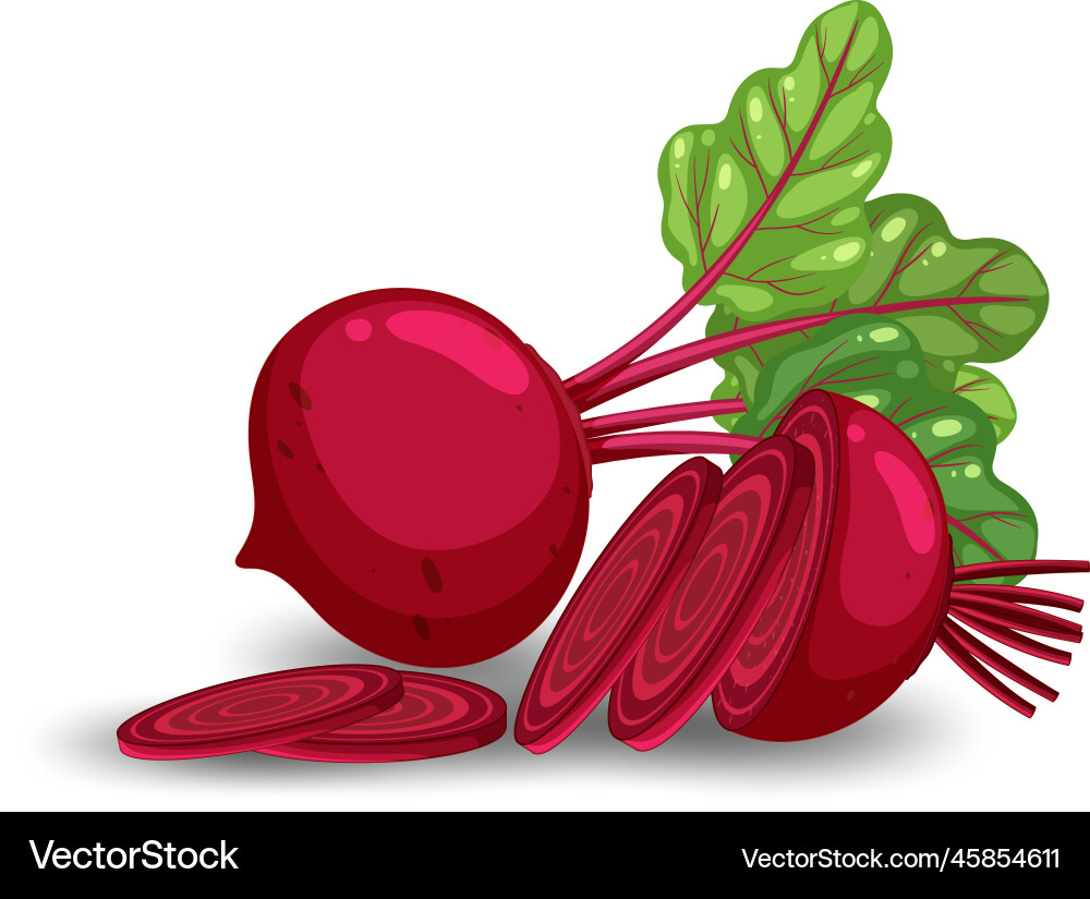 Whole beetroot and sliced on white background Vector Image