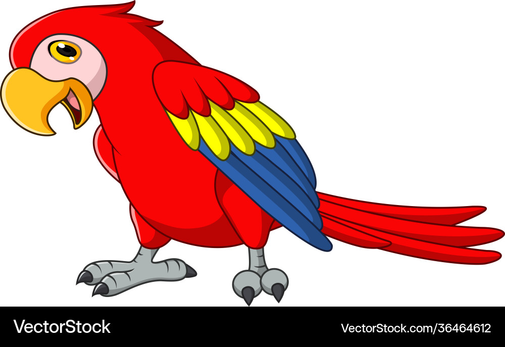 Cartoon funny macaw isolated on white background Vector Image