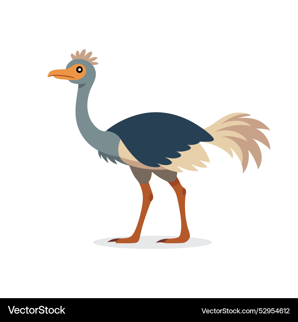 Ostrich animal isolated flat on white background Vector Image