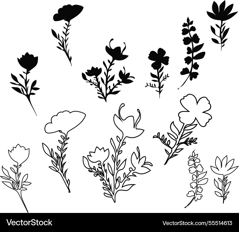 Flower line flowers line Royalty Free Vector Image