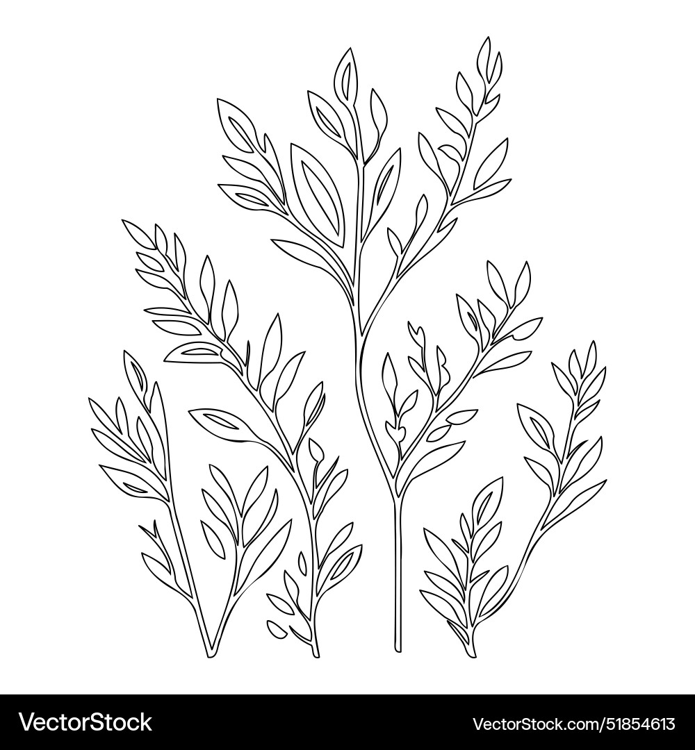 Parallel leaf floral outline sketch Royalty Free Vector