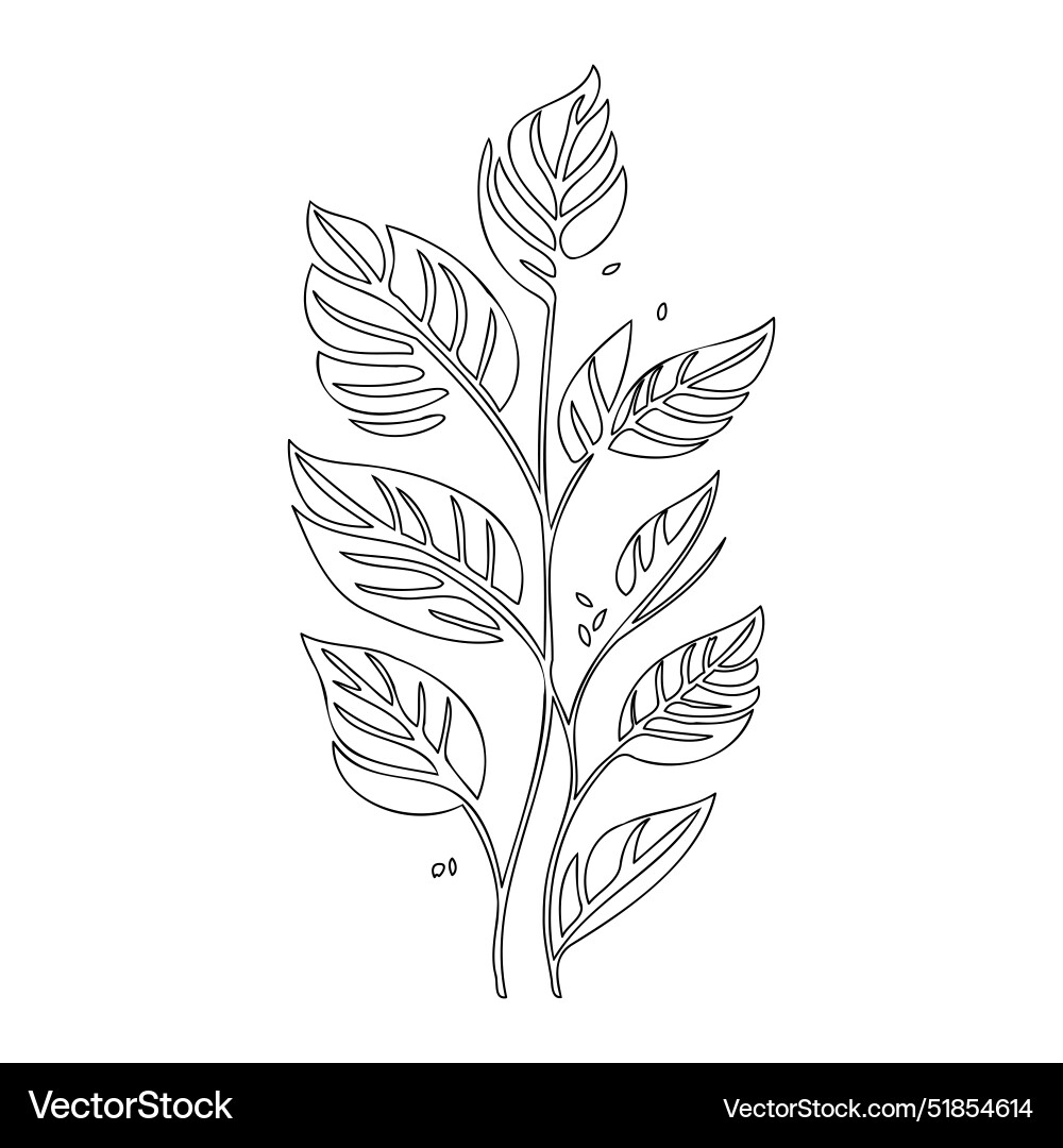 Parallel leaf floral outline sketch Royalty Free Vector