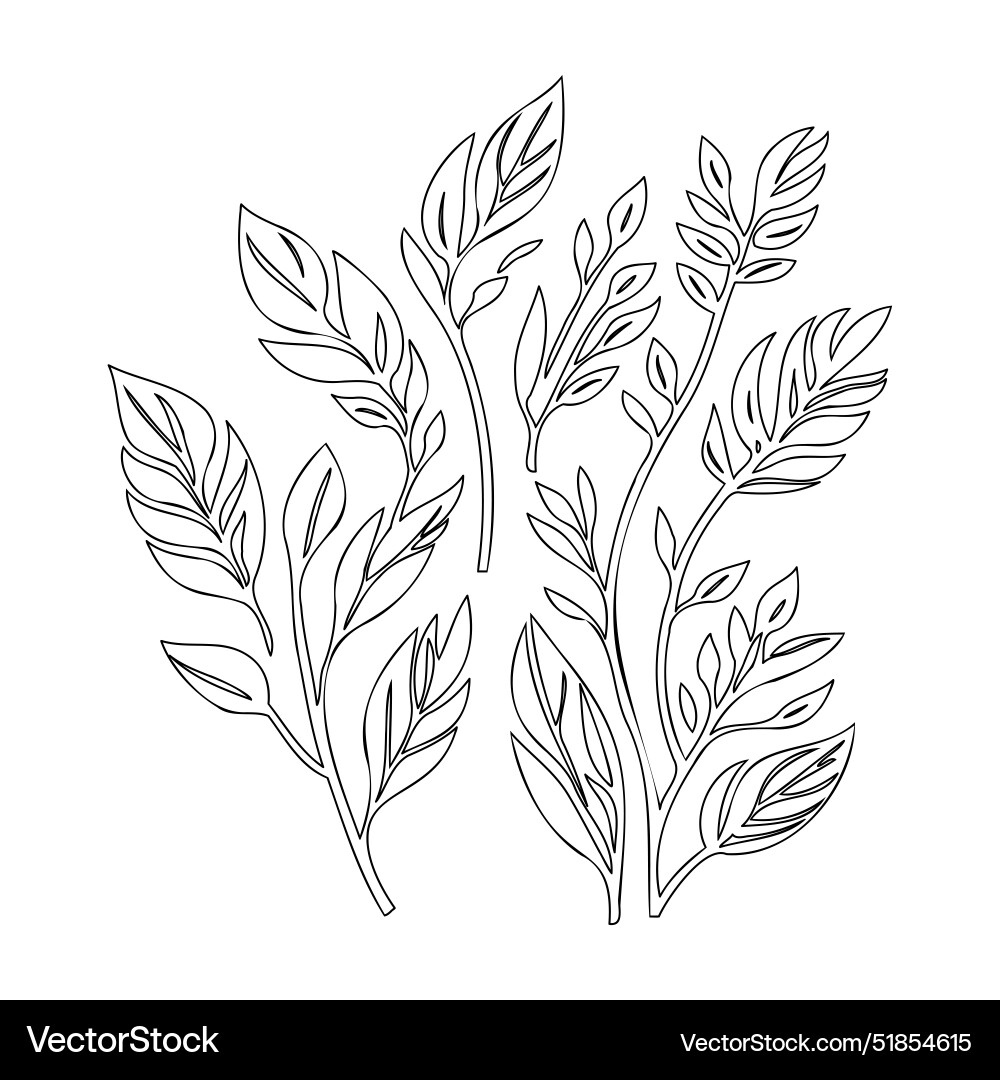 Parallel leaf floral outline sketch Royalty Free Vector