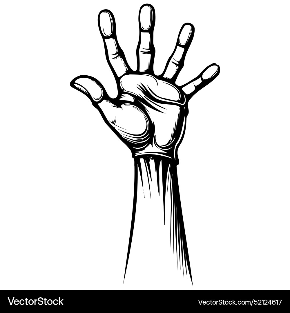 Arms drawing vintage line image Royalty Free Vector Image