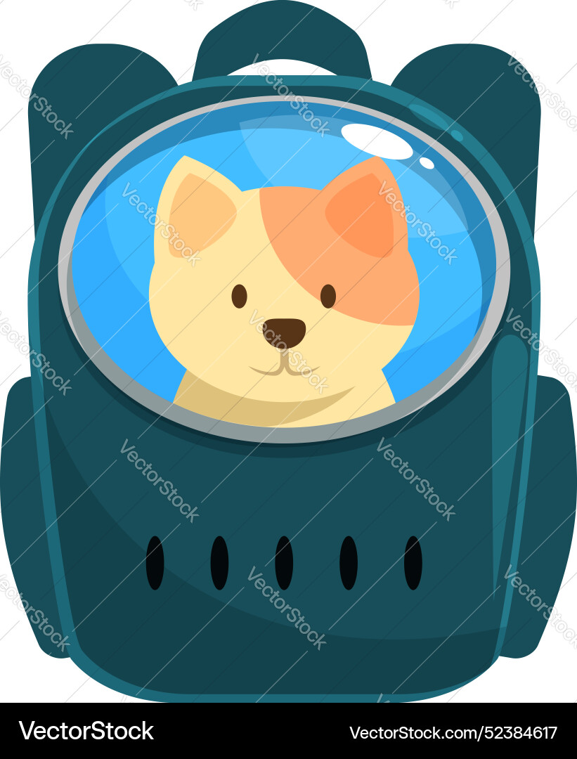 Cute cat sitting in space backpack for travel Vector Image