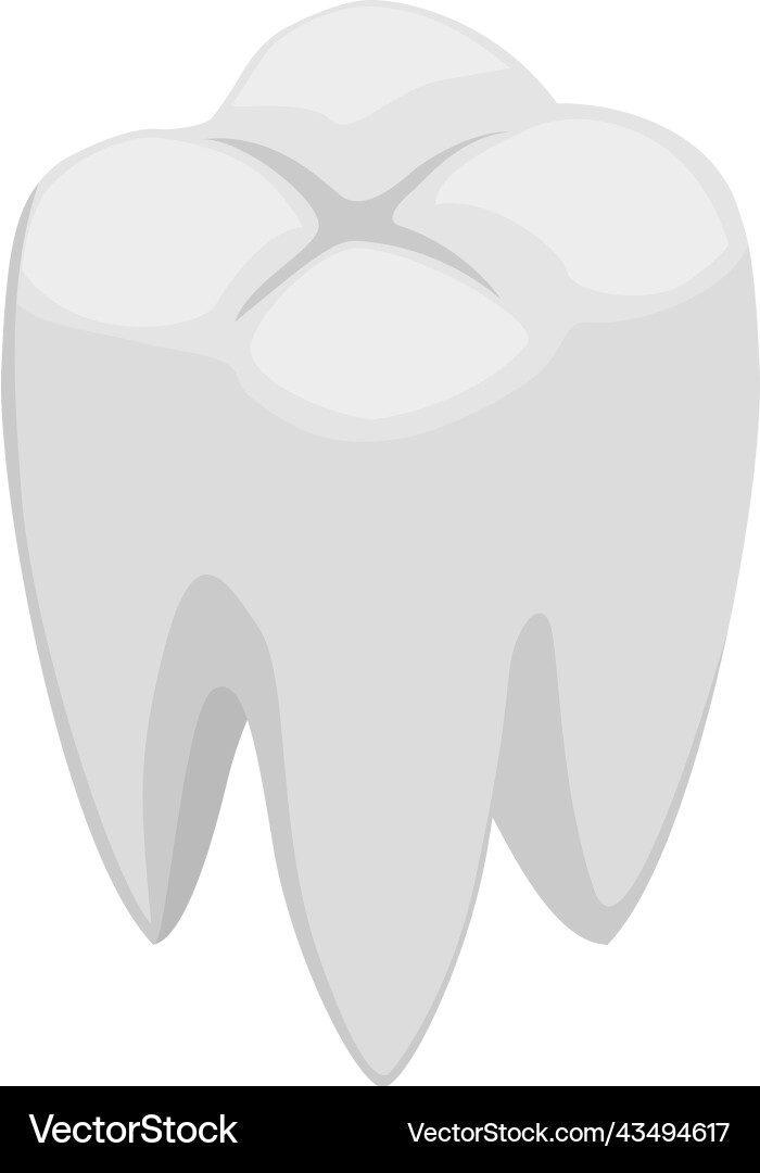 Isometric tooth Royalty Free Vector Image - VectorStock Isometric tooth Royalty Free Vector Image - VectorStock