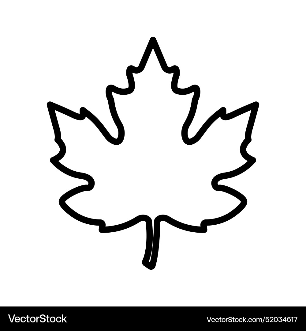 Maple leaf linear logo mark in black and white Vector Image