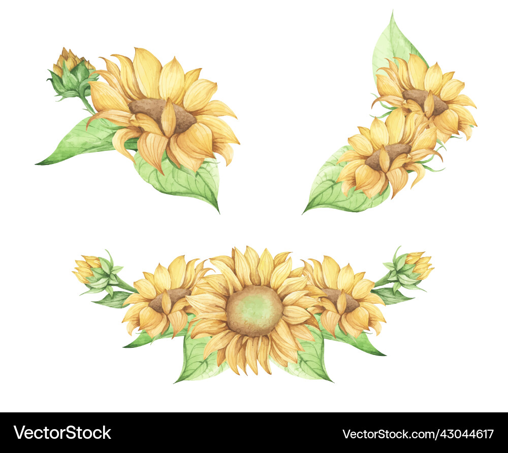 Set of sunflower Royalty Free Vector Image - VectorStock