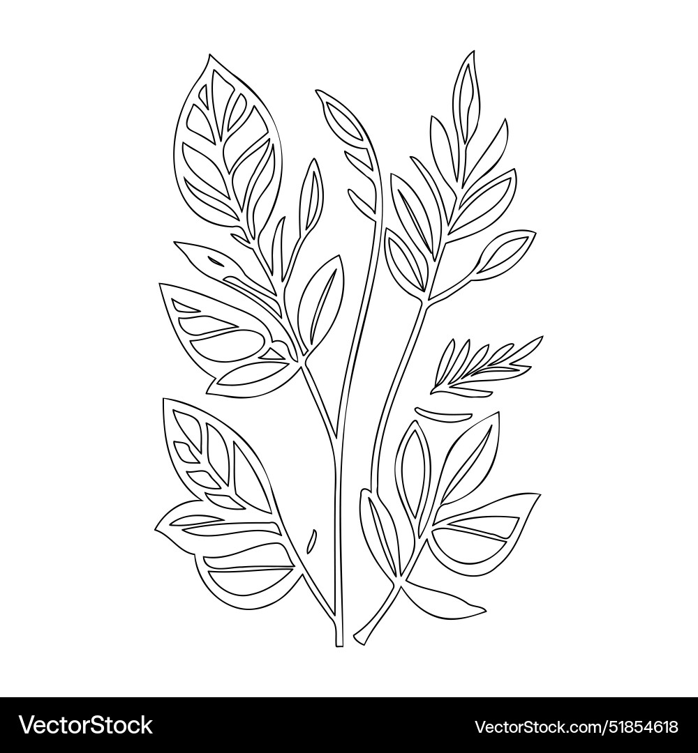 Parallel leaf floral outline sketch Royalty Free Vector