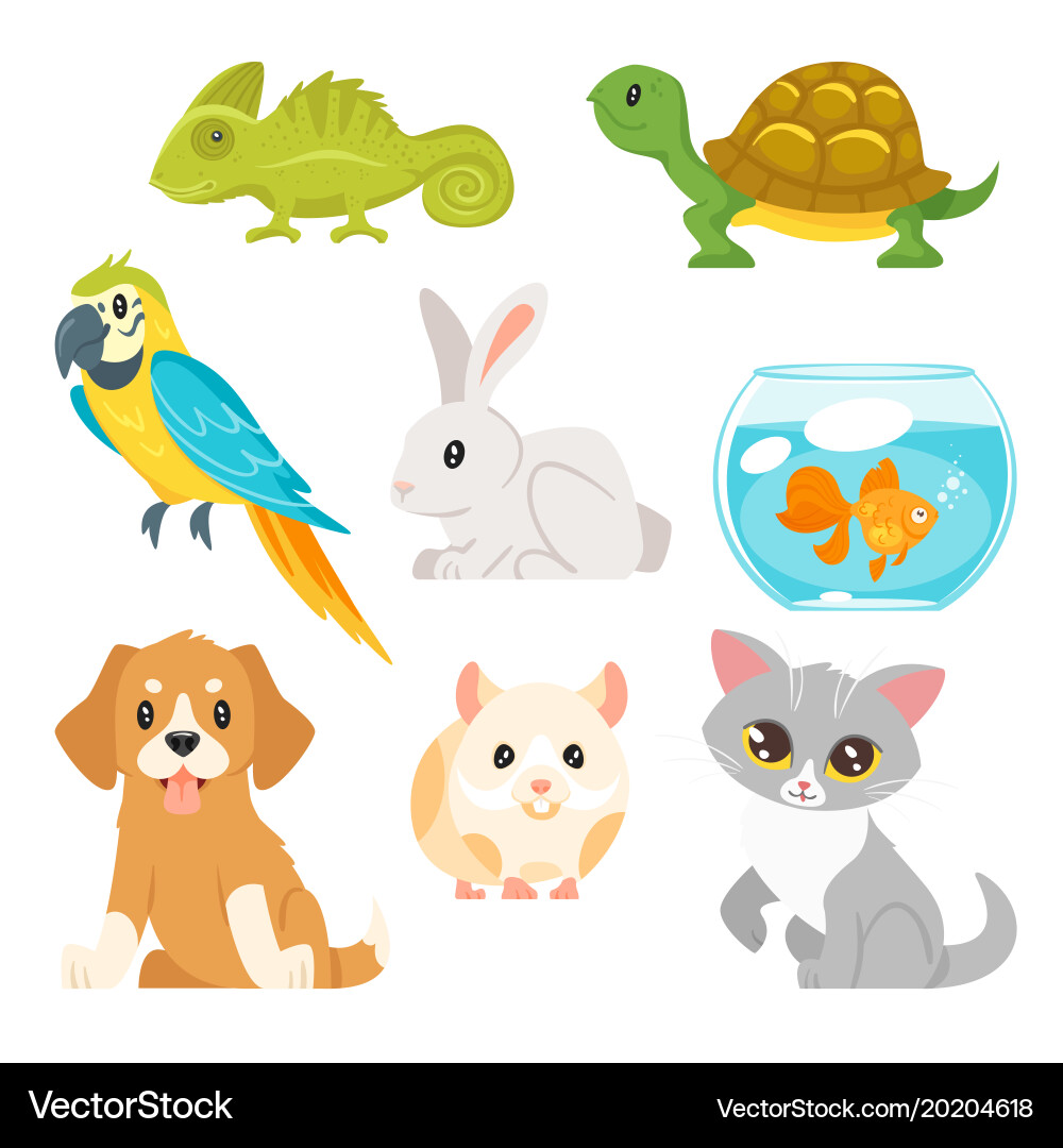 Set of home animal pet Royalty Free Vector Image