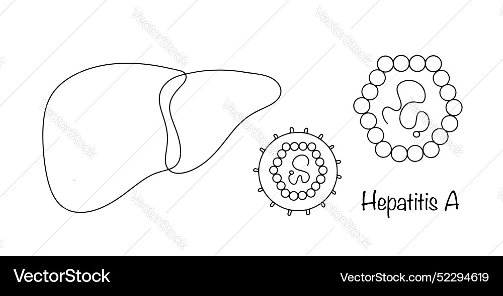 Hepatitis Royalty Free Vector Image - VectorStock