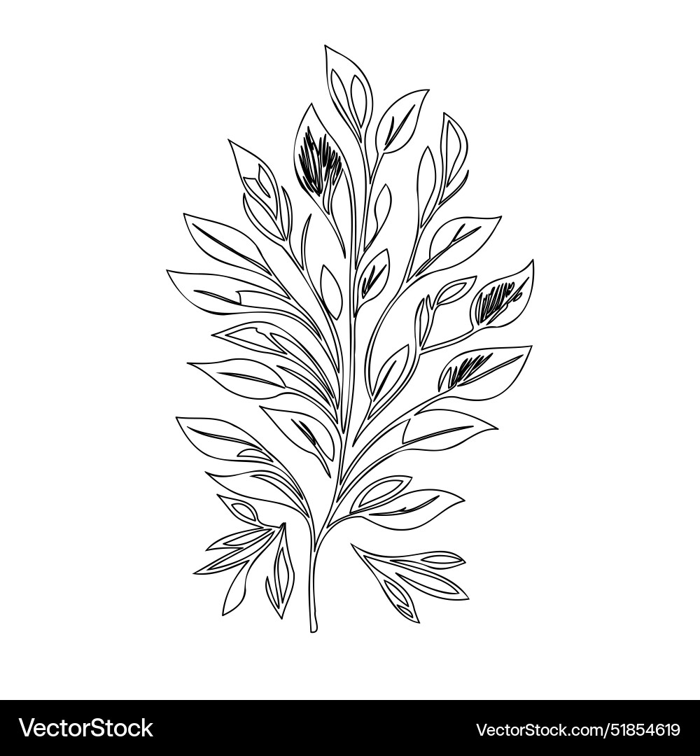 Parallel leaf floral outline sketch Royalty Free Vector