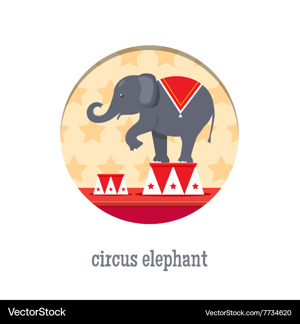 Circus elephant acrobat Royalty Free Vector Image