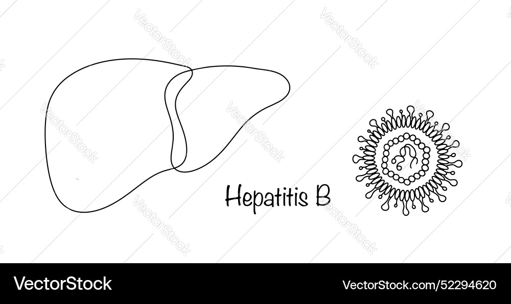 Hepatitis B Virus Vector Images (over 770)