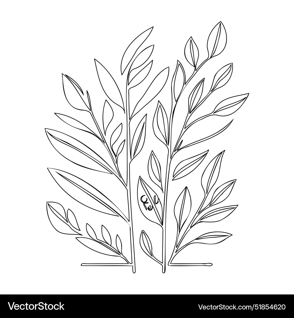 Parallel leaf floral outline sketch Royalty Free Vector