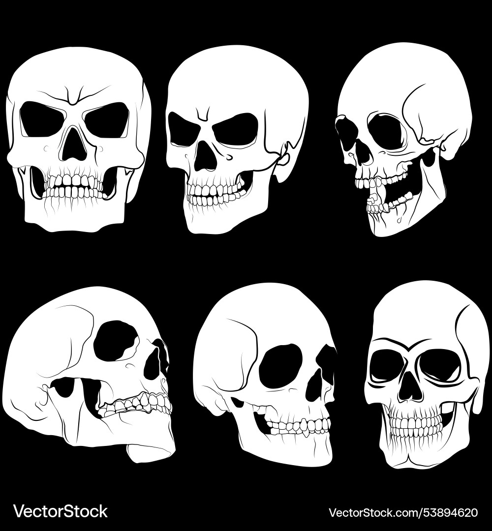 Skull head set of icon Royalty Free Vector Image