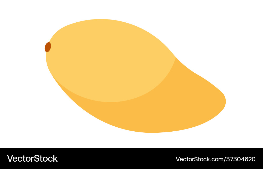 Yellow mango on white background Royalty Free Vector Image