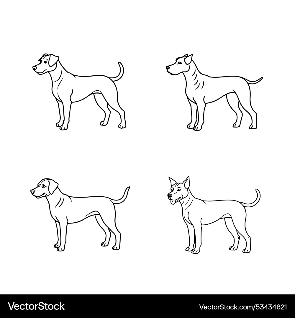 4 dog line art Royalty Free Vector Image - VectorStock