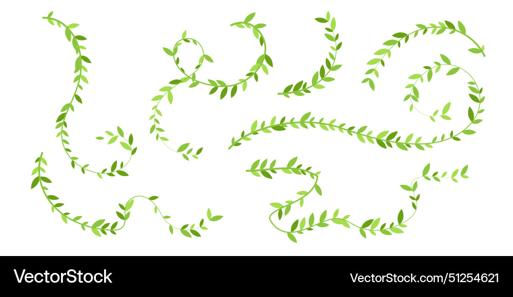 Hanging plants with green leaves simplistic Vector Image