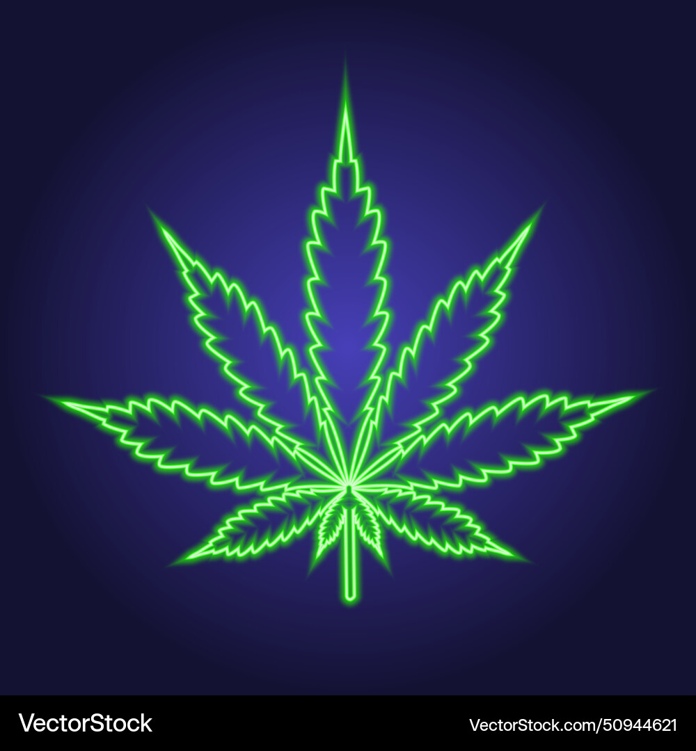 Neon Cannabis Leaf Royalty Free Vector Image - VectorStock