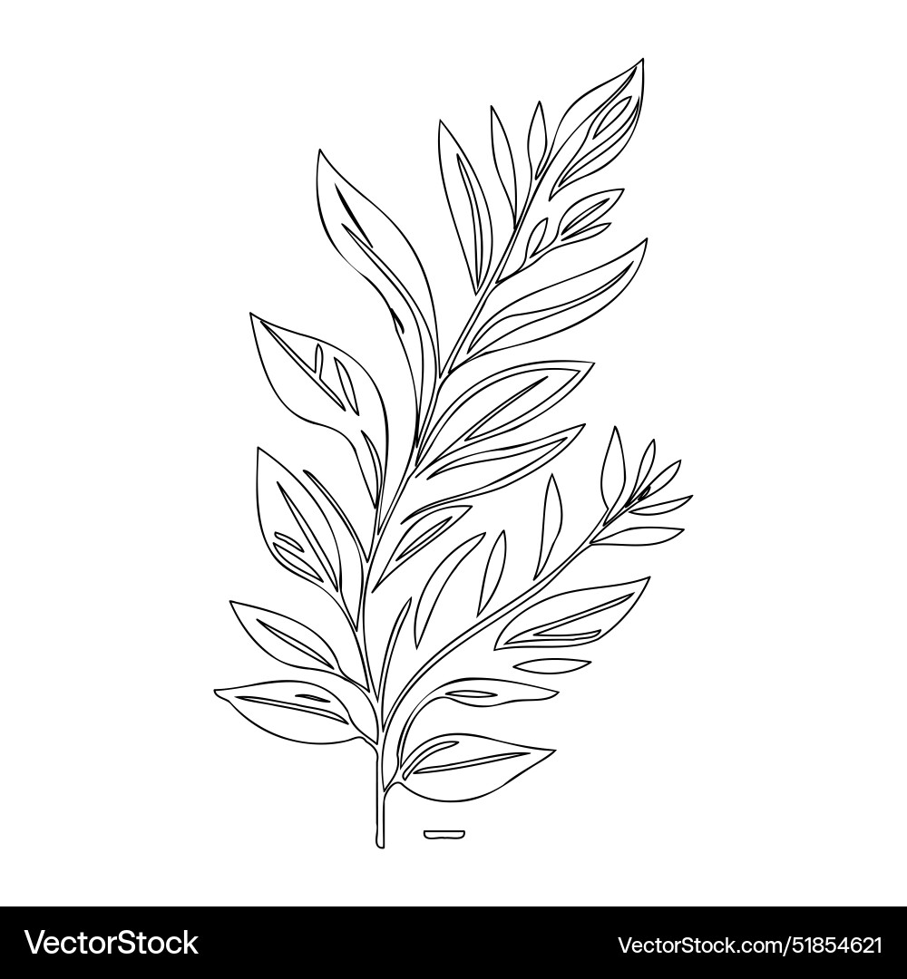 Parallel leaf floral outline sketch Royalty Free Vector