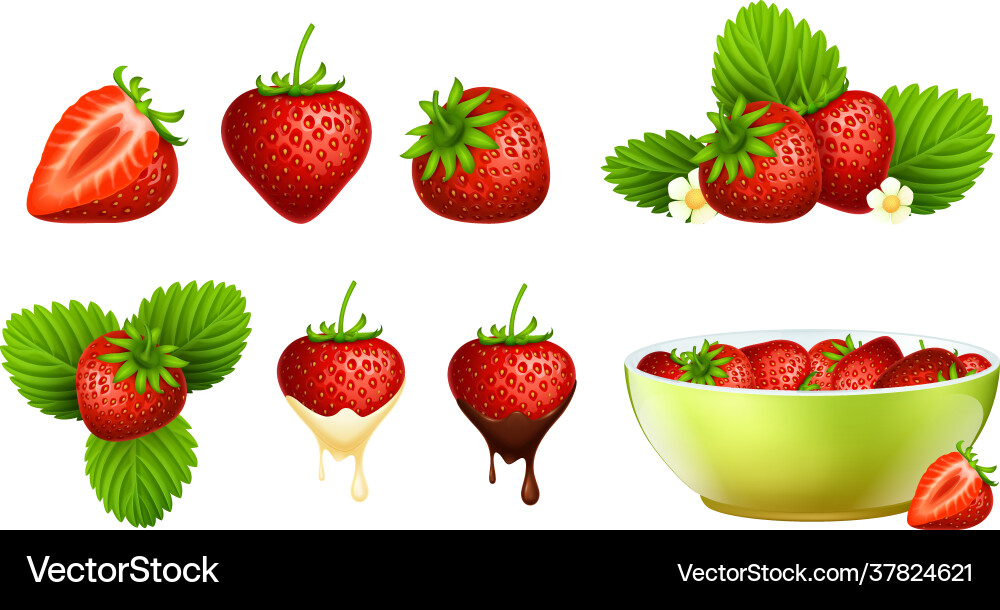 Red strawberry realistic berries strawberries Vector Image