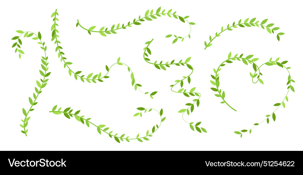 Hanging plants with green leaves simplistic Vector Image