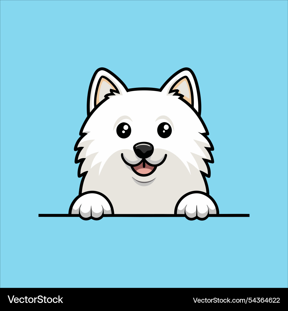 Samoyed peeking face Royalty Free Vector Image