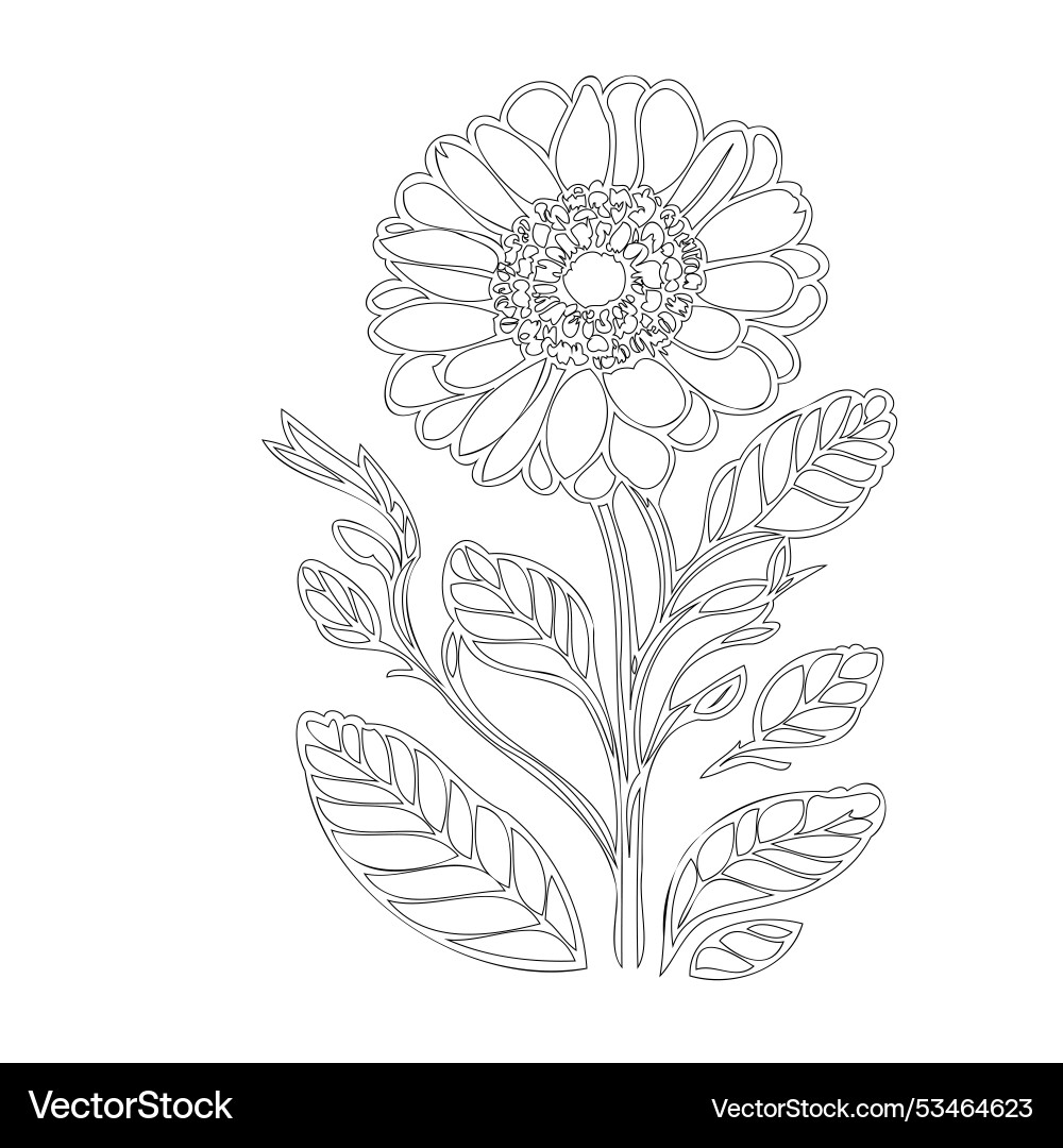 Sunflower outline sketch Royalty Free Vector Image
