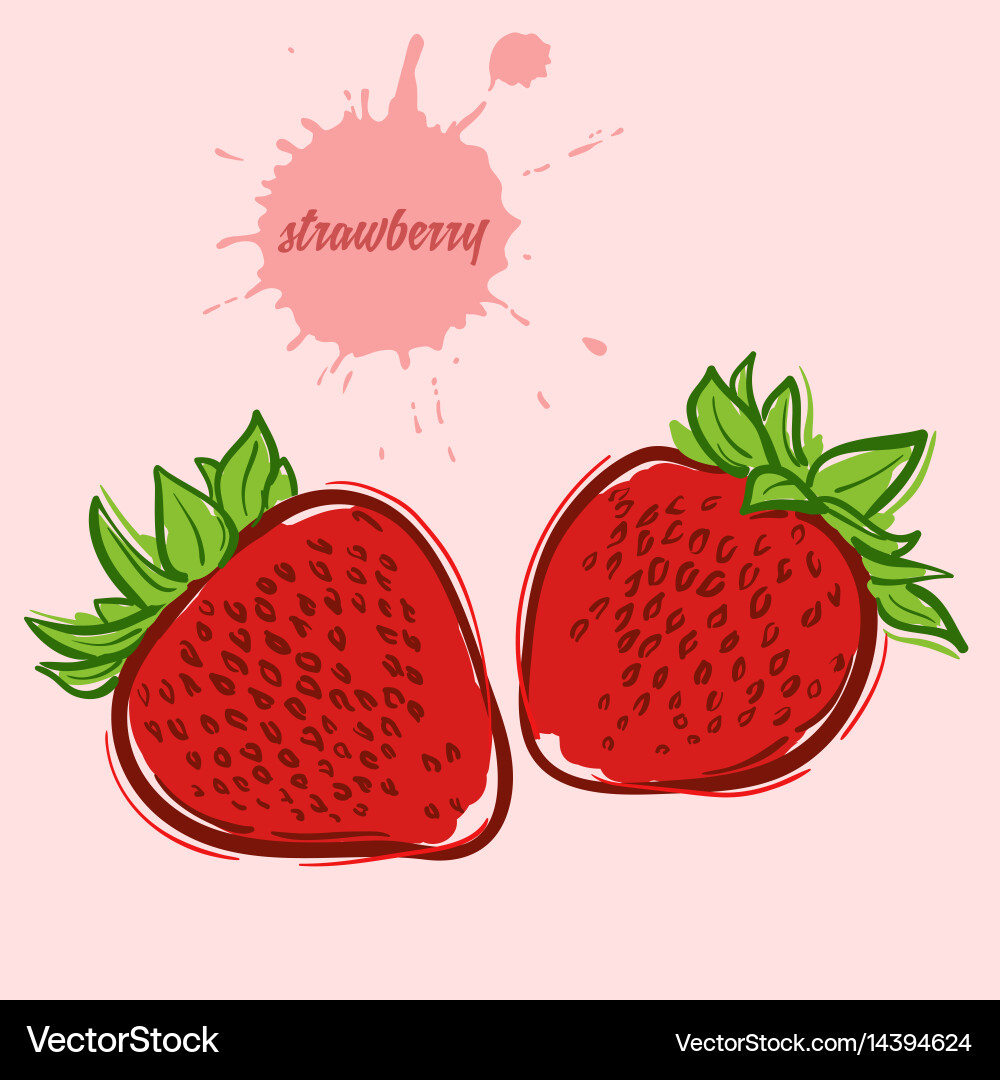 Hand-Drawn Strawberry Royalty Free Vector Image