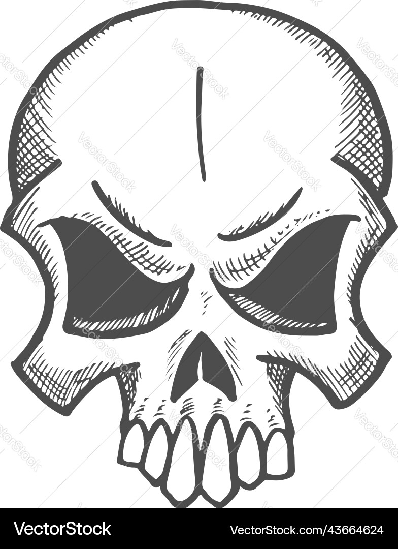 Toothed human skull isolated angry skeleton face Vector Image