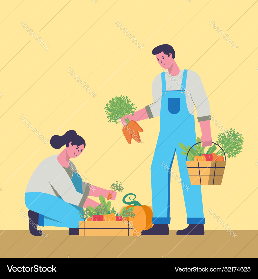 Farming couple harvesting their crops Royalty Free Vector