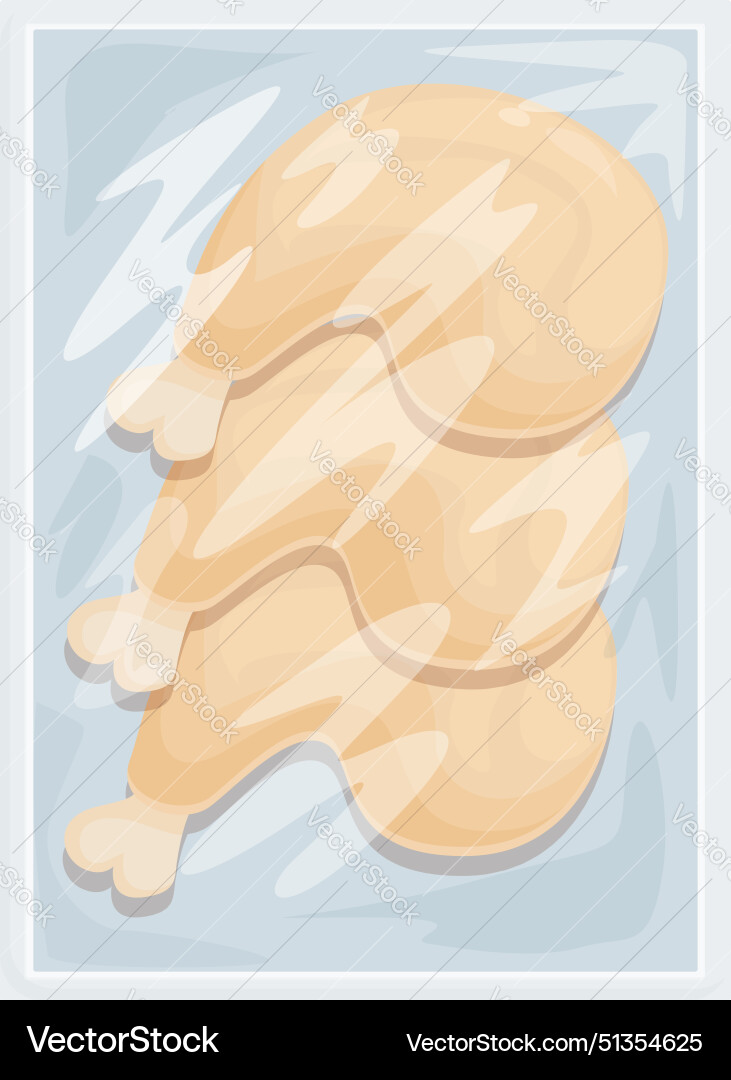 Frozen chicken in packaging Royalty Free Vector Image