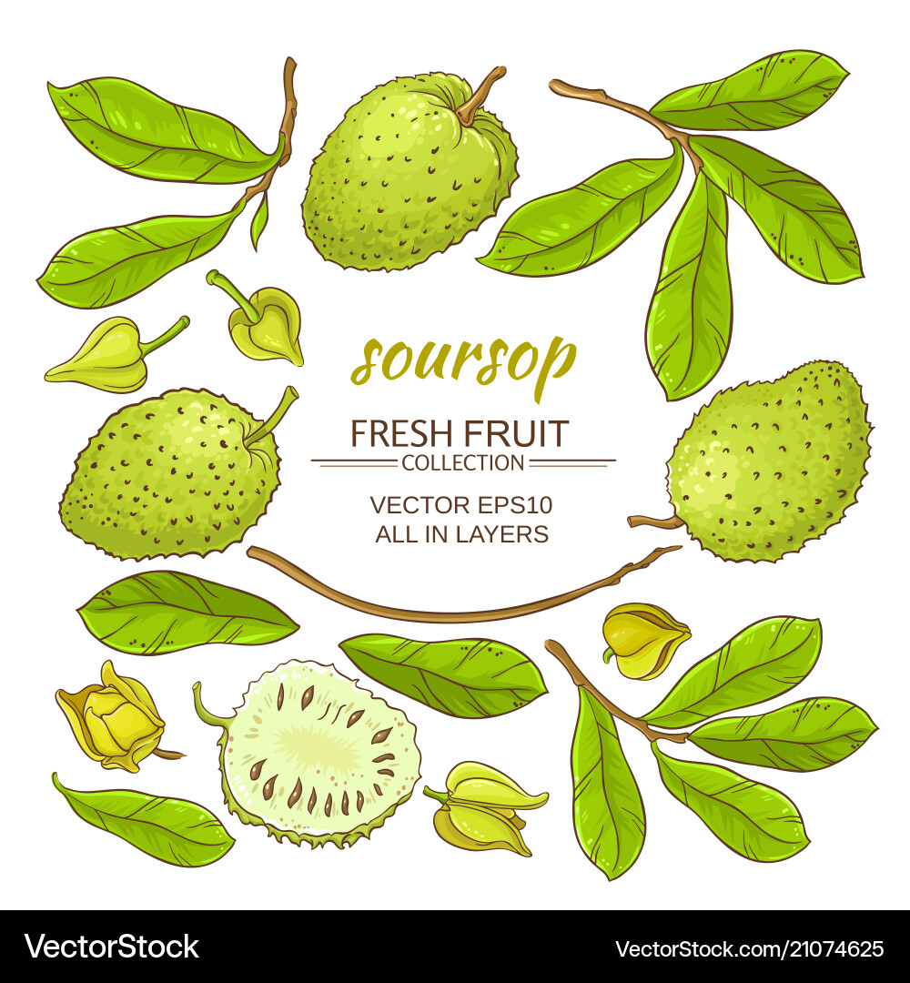 Soursop elements set Royalty Free Vector Image