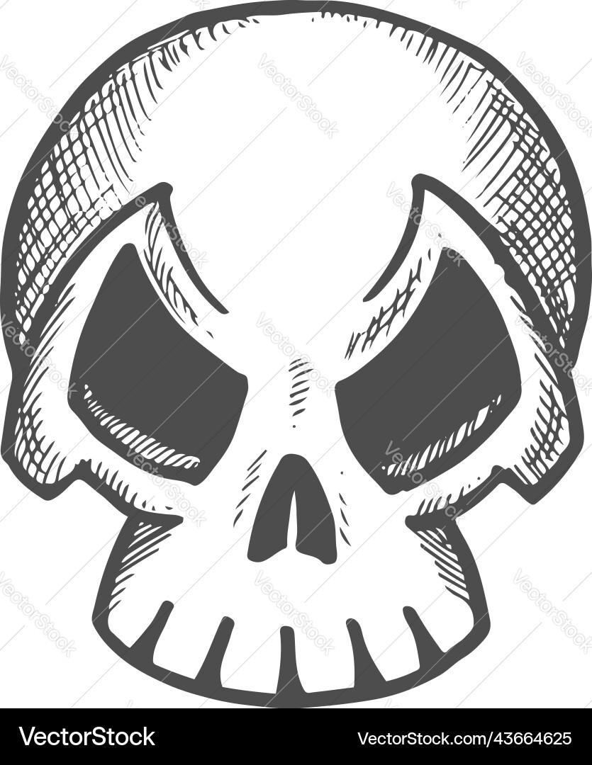 Toothed human skull isolated angry skeleton face Vector Image