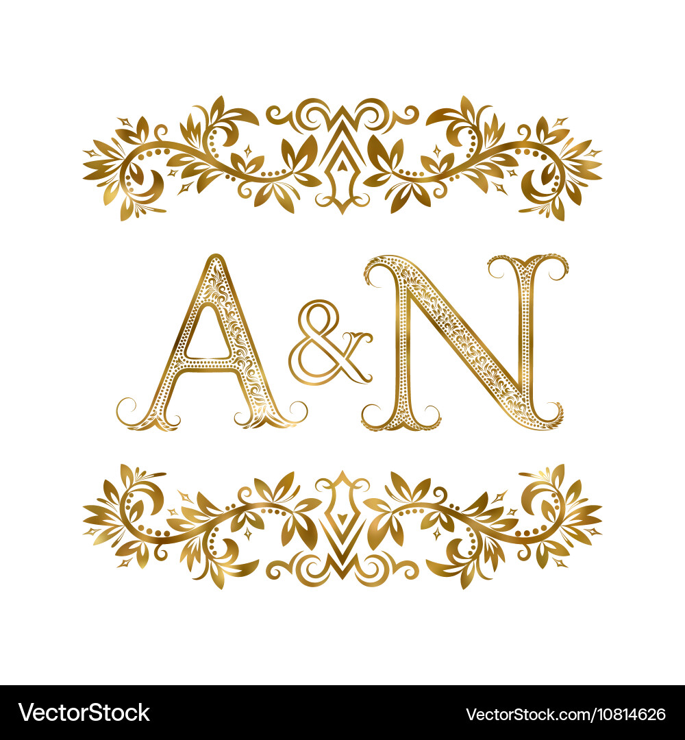 An vintage initials logo symbol letters a n Vector Image