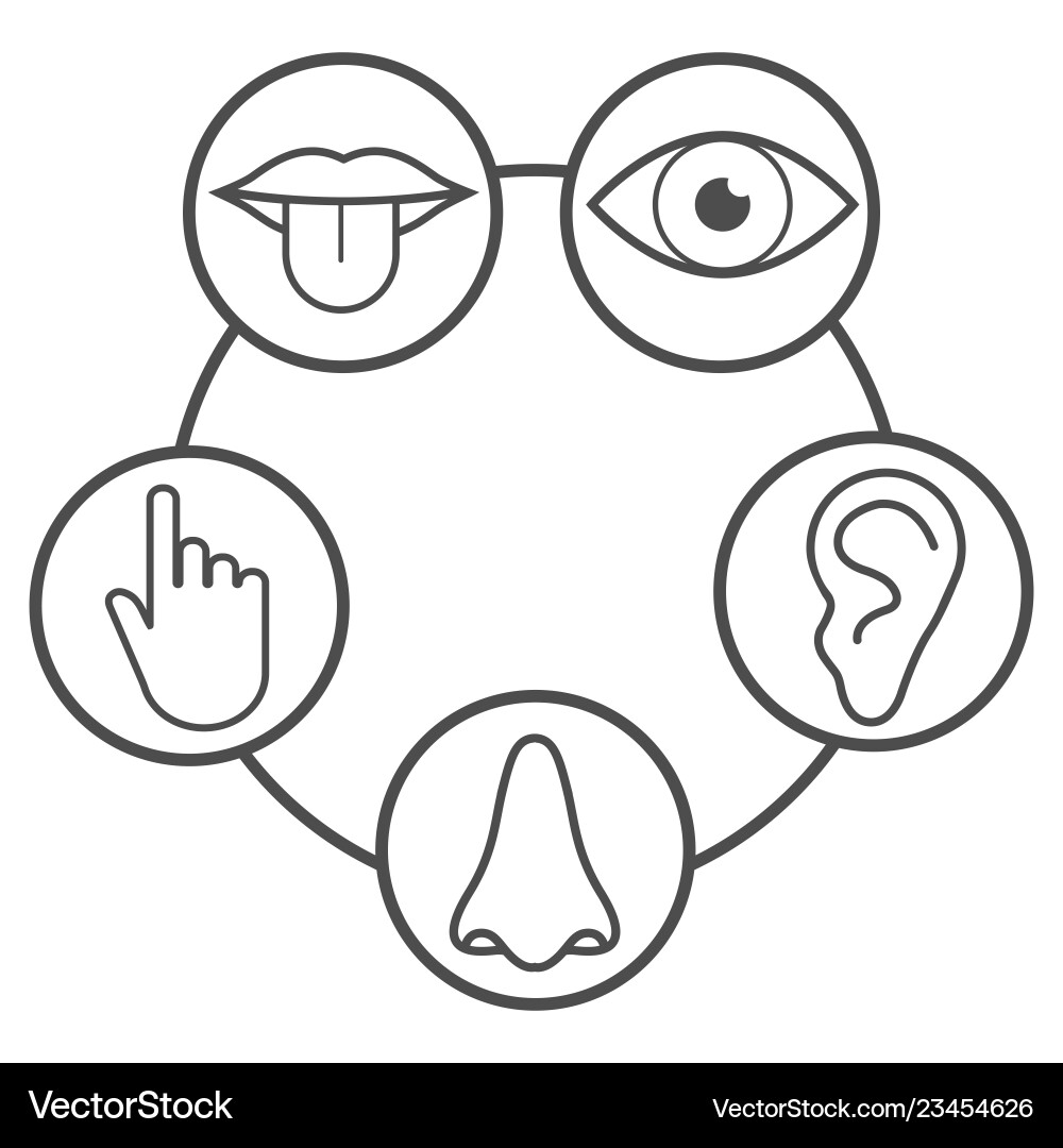 Human Sensory Perception Icons Royalty Free Vector Image