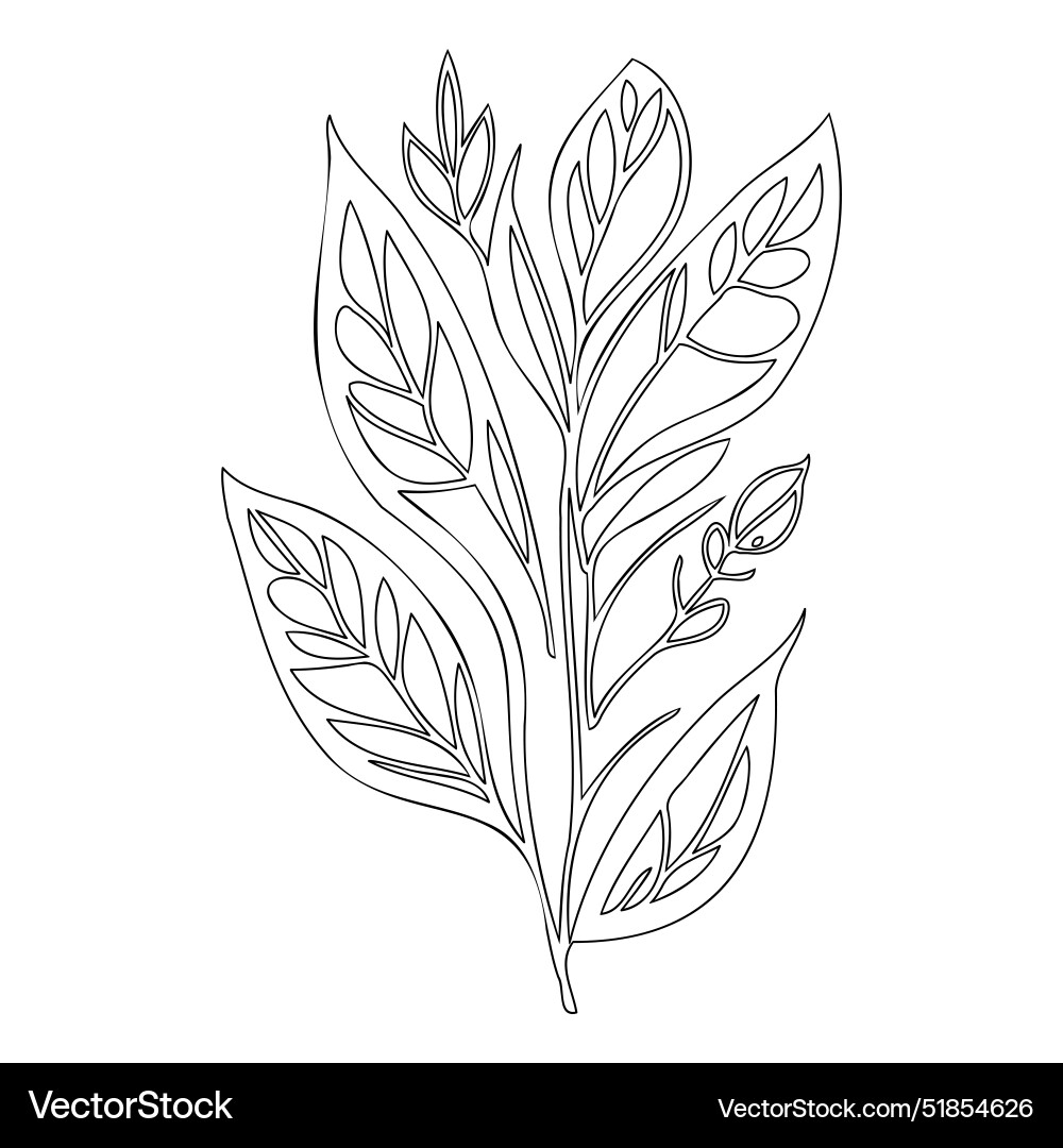Parallel leaf floral outline sketch Royalty Free Vector