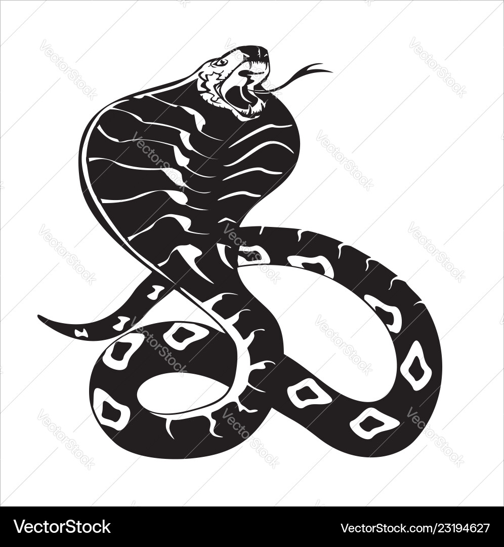 King cobra Royalty Free Vector Image - VectorStock
