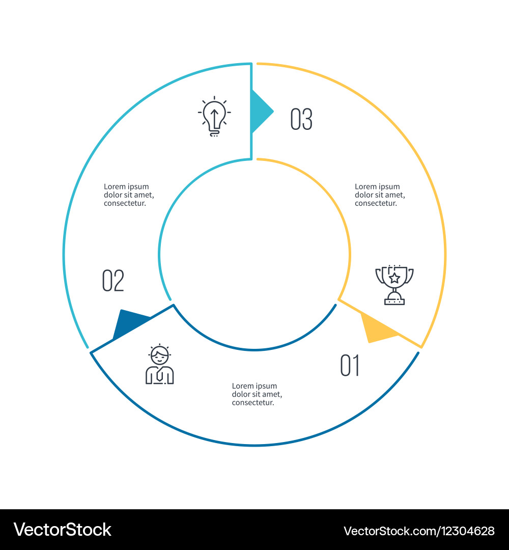 Circular chart diagram with 3 steps options Vector Image