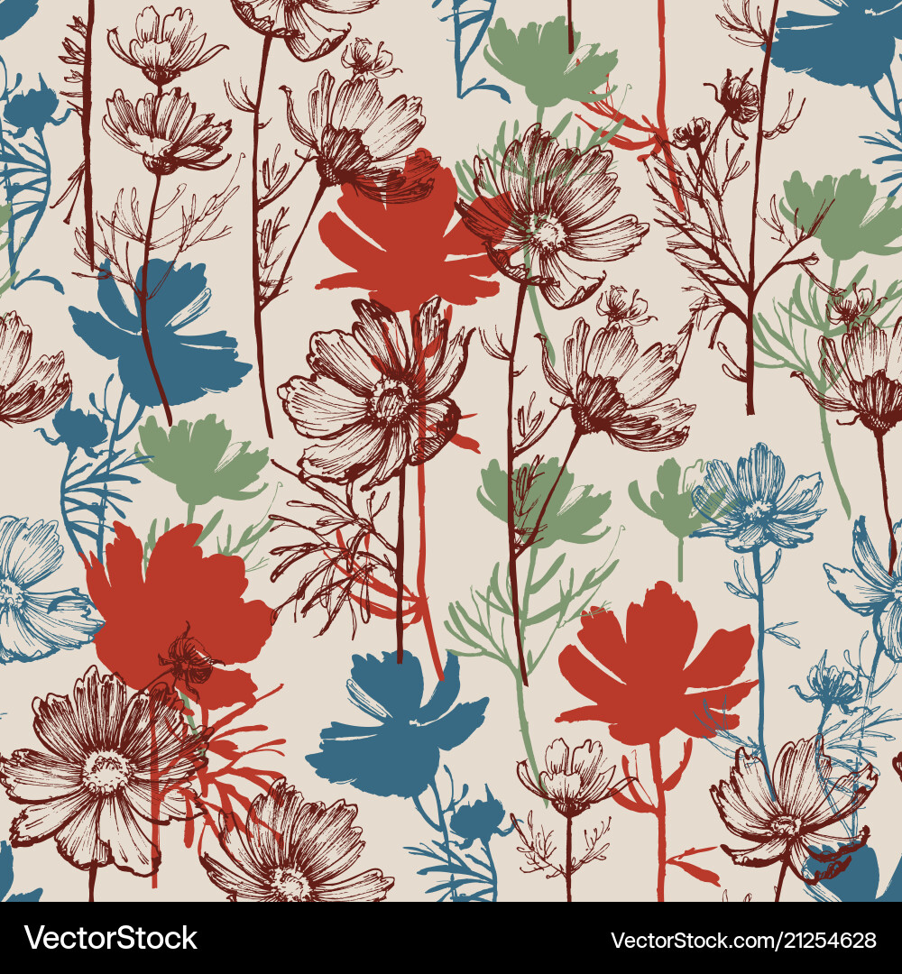 Floral seamless pattern hand drawn cosmos flowers Vector Image