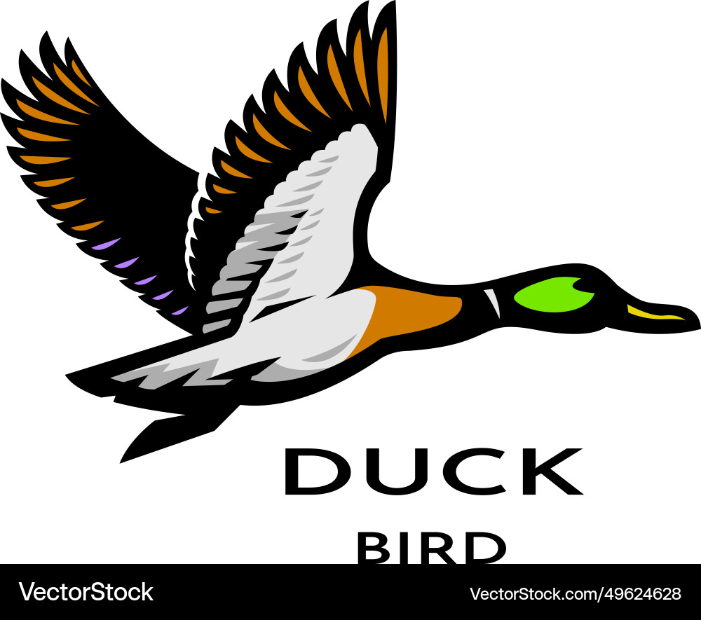 Flying duck logo Royalty Free Vector Image - VectorStock