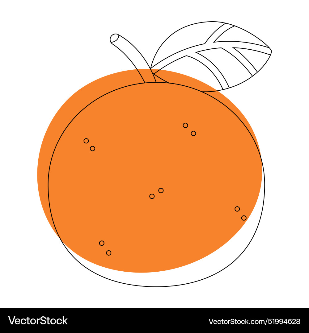 Orange in simple doodle style Royalty Free Vector Image